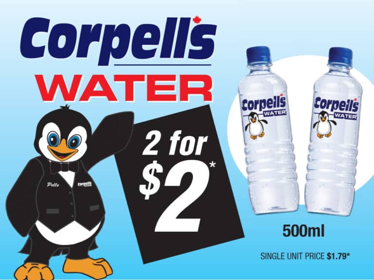 Jumping To The Pump Since 1958 - Homepage | Domo Corporation Ltd.